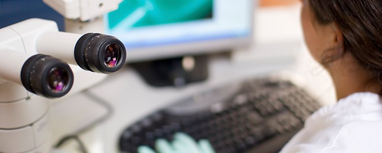 How To Become A Forensic Scientist UCAS Progress UCAS how-to-become-a-forensic-scientist-ucas-progress-ucas